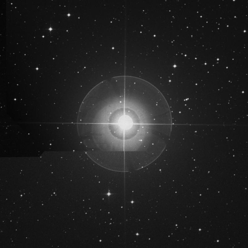 ε Leporis (epsilon Leporis) - Star in Lepus | TheSkyLive