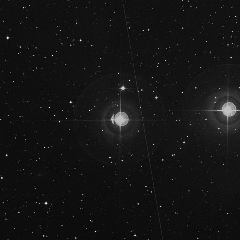ι Leporis (iota Leporis) - Star in Lepus | TheSkyLive