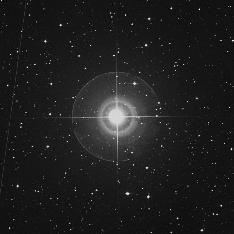 μ Leporis (mu Leporis) - Star in Lepus | TheSkyLive