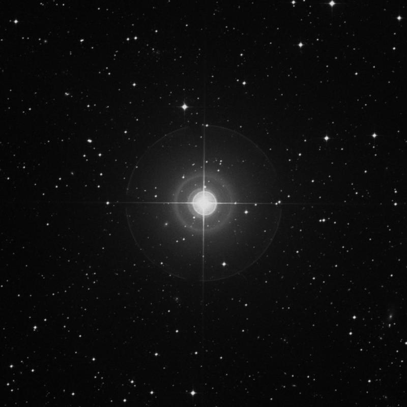 ο Columbae (omicron Columbae) - Star in Columba | TheSkyLive