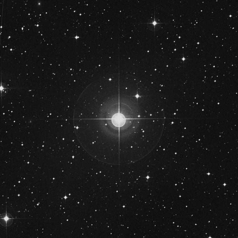 λ Leporis (lambda Leporis) - Star in Lepus | TheSkyLive
