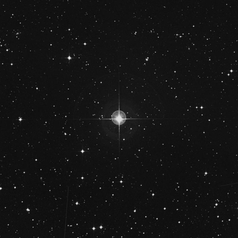 ν Leporis (nu Leporis) - Star in Lepus | TheSkyLive