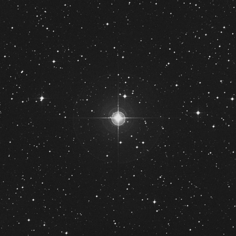 8 Leporis - Star in Lepus | TheSkyLive