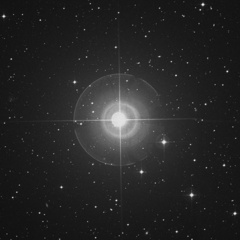 Nihal - β Leporis (beta Leporis) - Star in Lepus | TheSkyLive