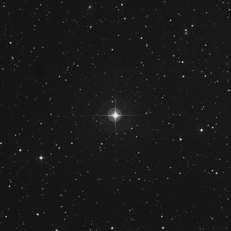 10 Leporis - Star in Lepus | TheSkyLive