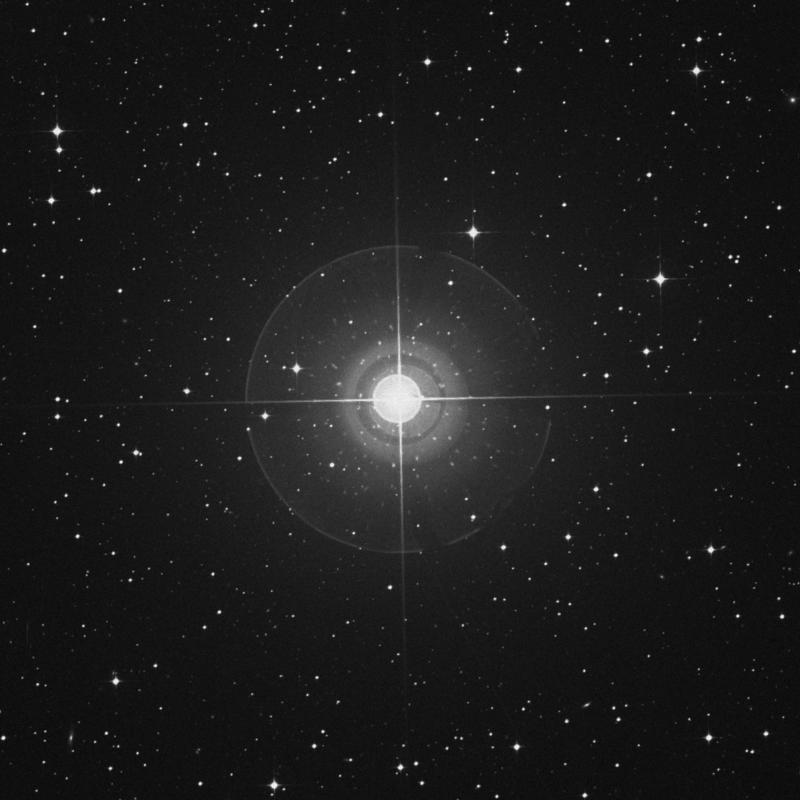 ε Columbae (epsilon Columbae) - Star in Columba | TheSkyLive
