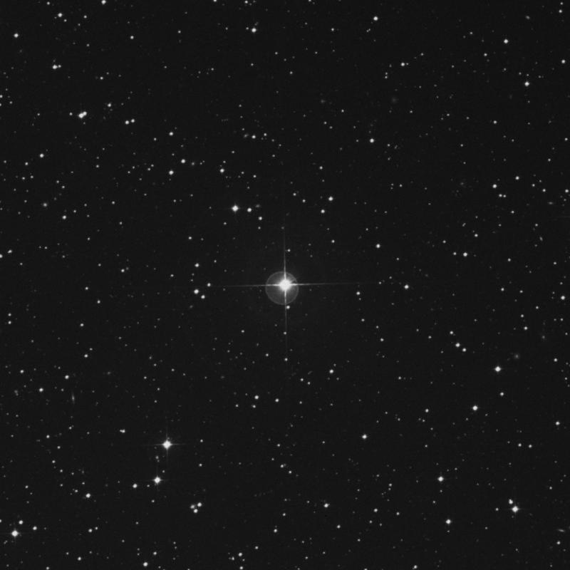 ν1 Columbae (nu1 Columbae) - Star in Columba | TheSkyLive