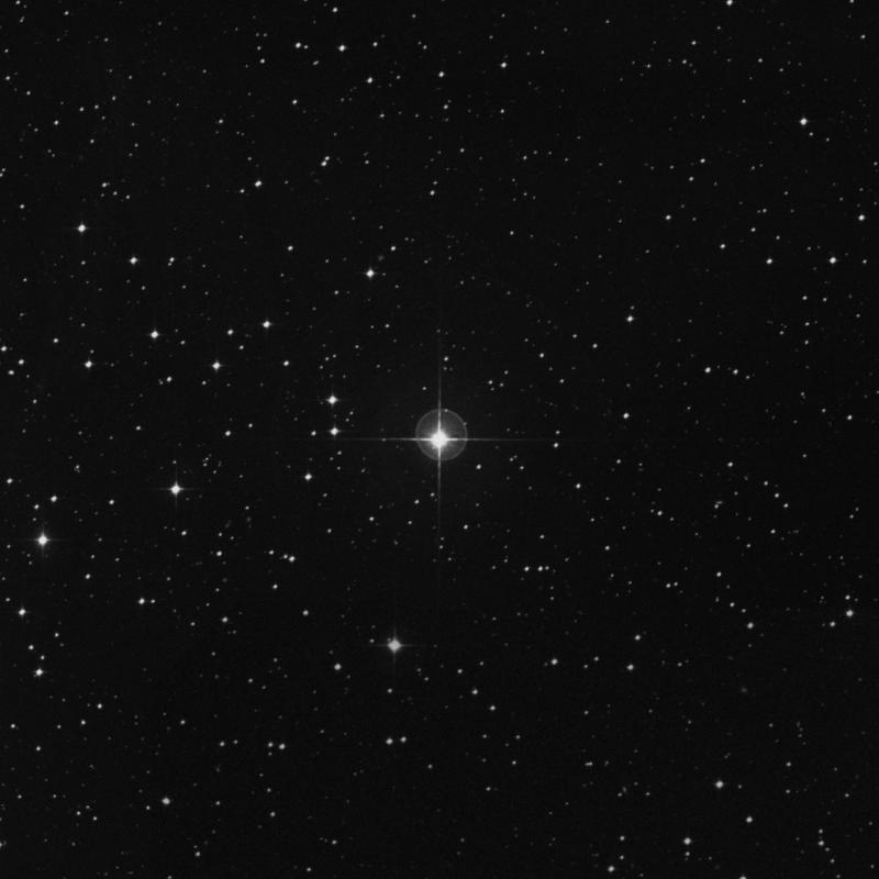 12 Leporis - Star in Lepus | TheSkyLive