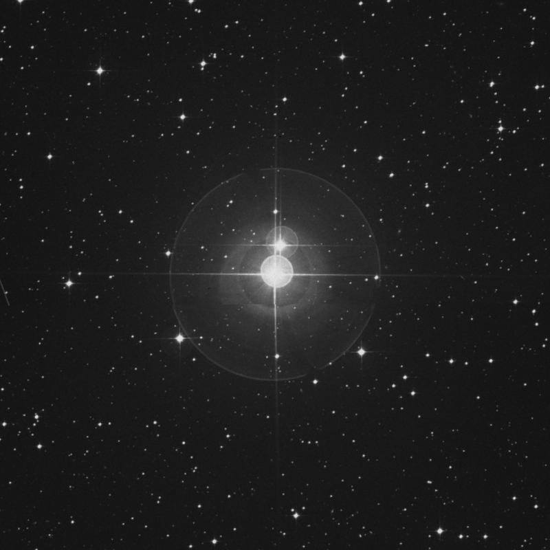 γ Leporis (gamma Leporis) - Star in Lepus | TheSkyLive