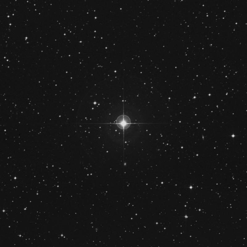μ Columbae (mu Columbae) - Star in Columba | TheSkyLive