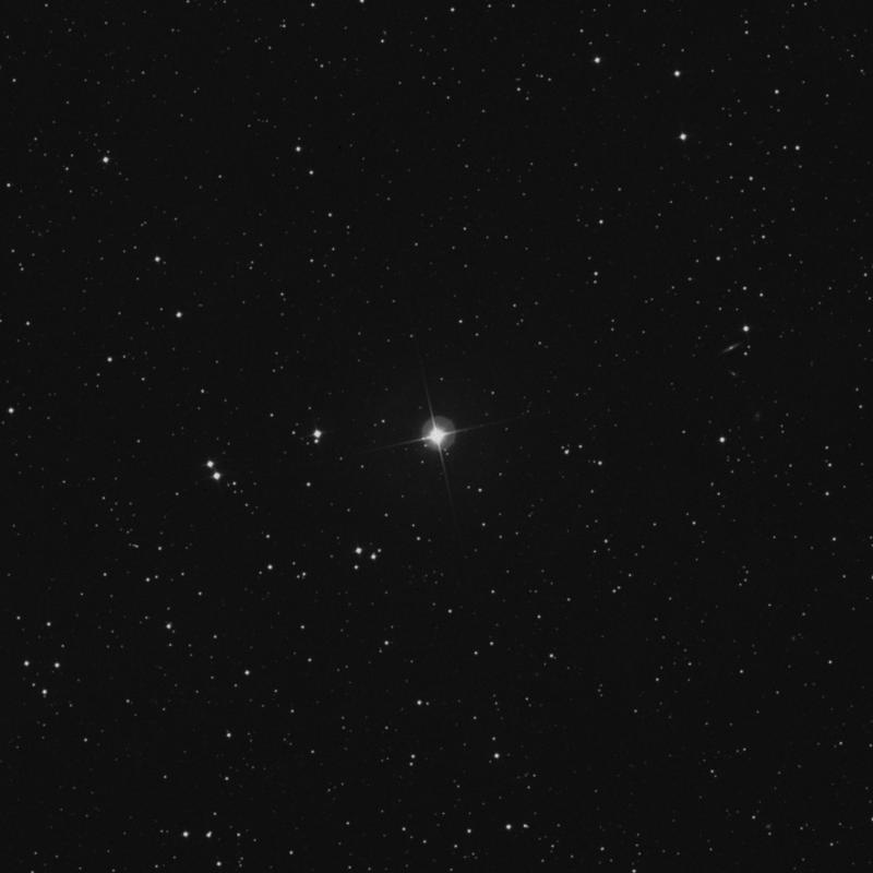 HR240 - Star in Cepheus | TheSkyLive