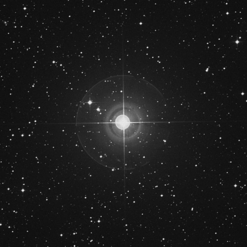 δ Leporis (delta Leporis) - Star in Lepus | TheSkyLive