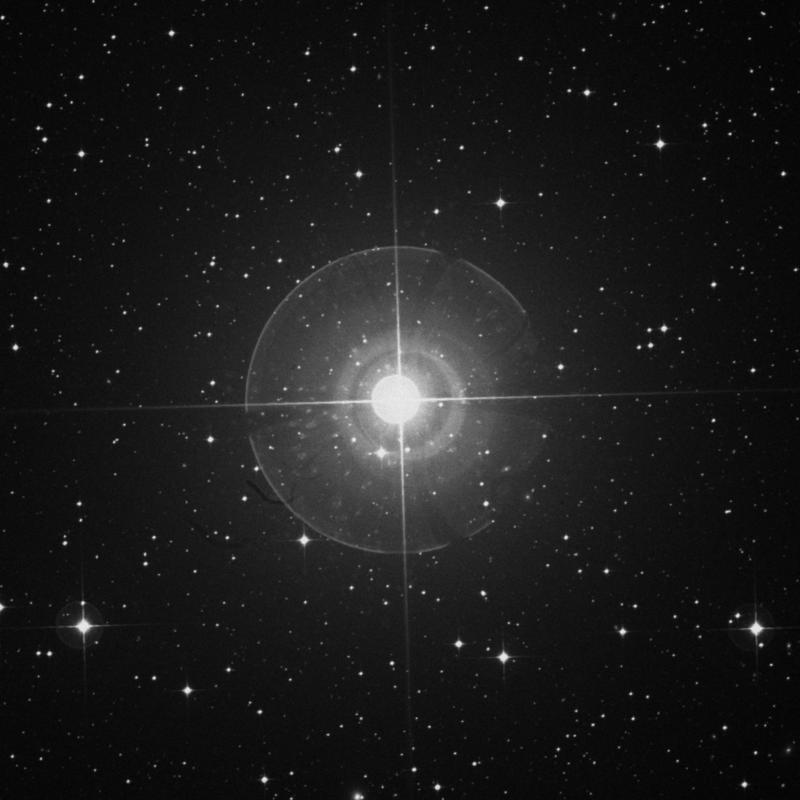 Wazn - β Columbae (beta Columbae) - Star in Columba | TheSkyLive