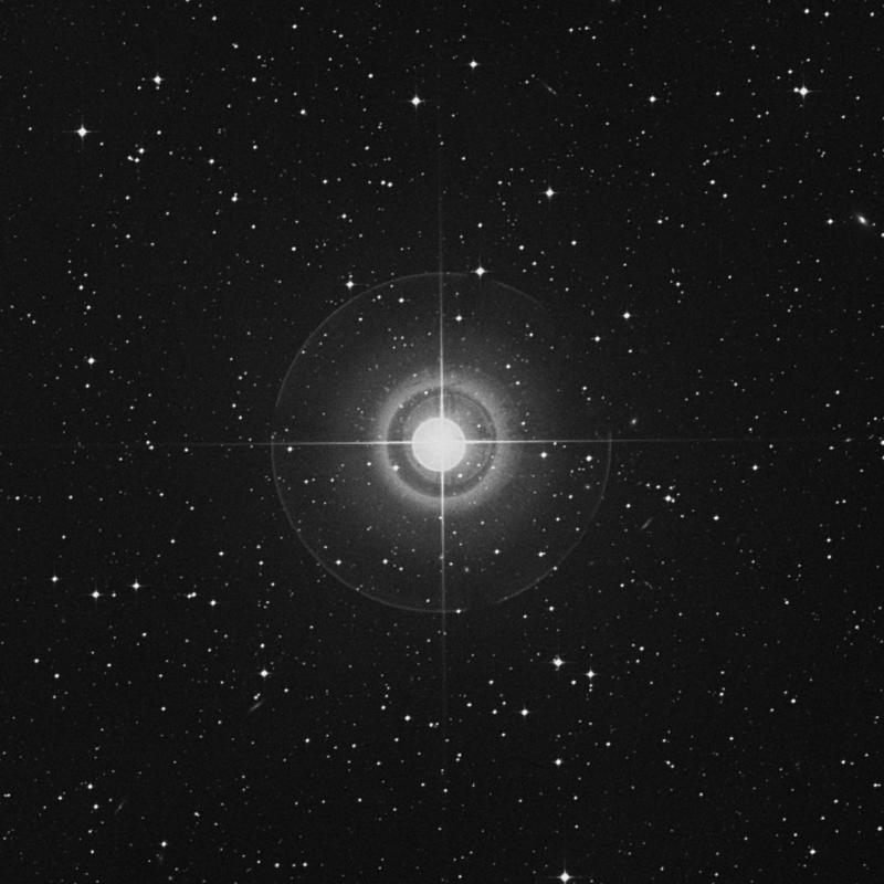 η Leporis (eta Leporis) - Star in Lepus | TheSkyLive