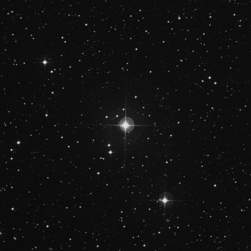 σ Columbae (sigma Columbae) - Star in Columba | TheSkyLive