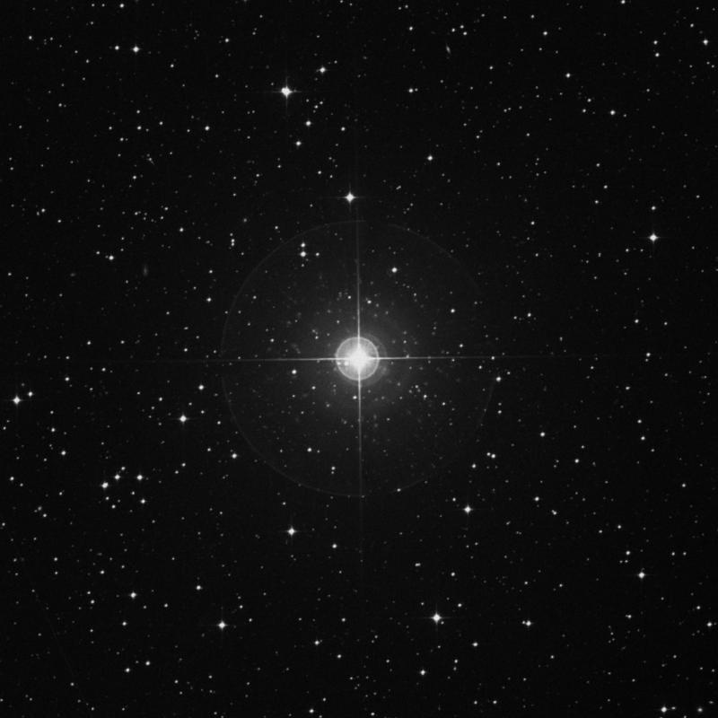 γ Columbae (gamma Columbae) - Star in Columba | TheSkyLive
