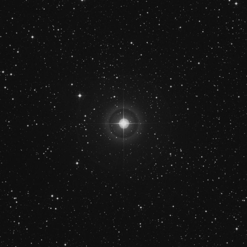 χ2 Orionis (chi2 Orionis) - Star in Orion | TheSkyLive