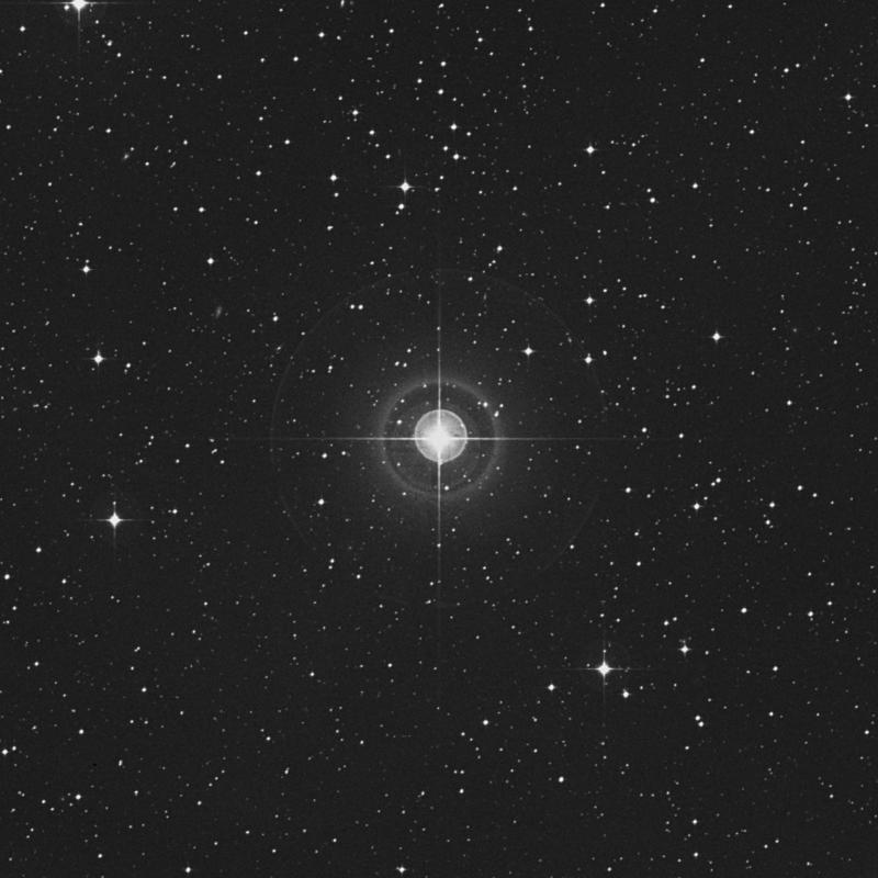 17 Leporis - Star in Lepus | TheSkyLive