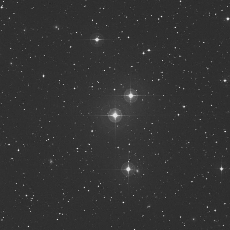 HR2158 - Star in Puppis | TheSkyLive