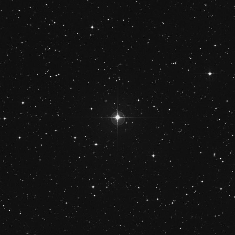 HR2162 - Star in Puppis | TheSkyLive