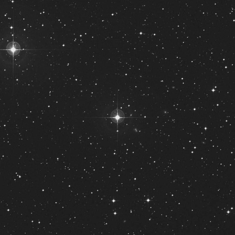 π1 Columbae (pi1 Columbae) - Star in Columba | TheSkyLive