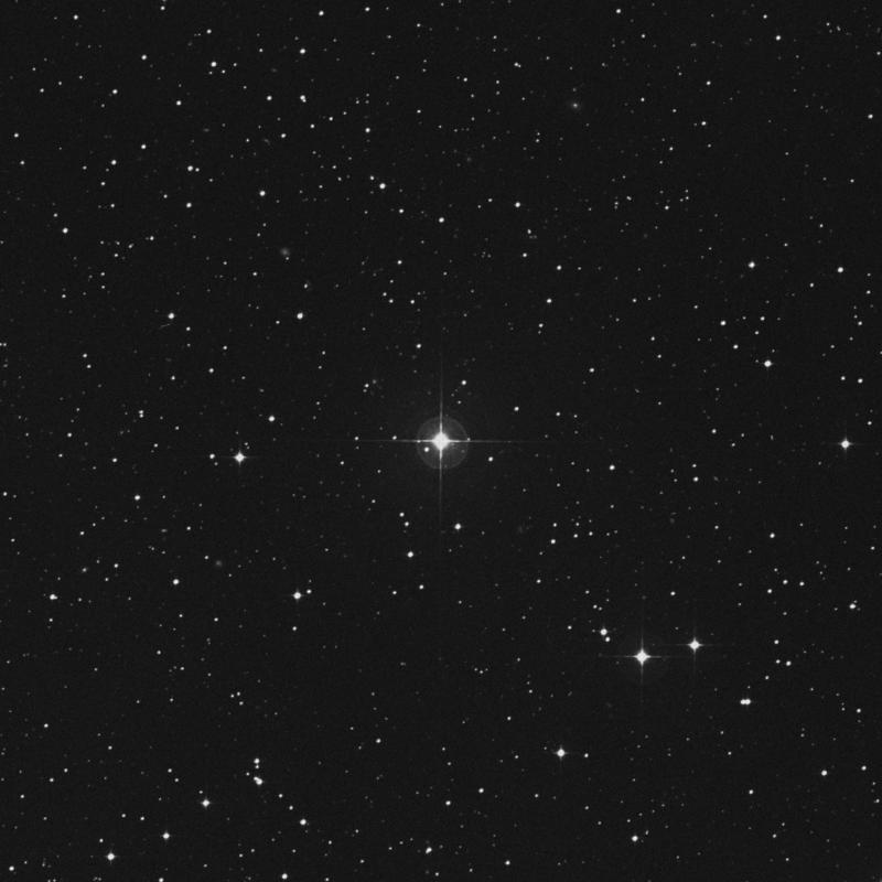 HR2187 - Star in Puppis | TheSkyLive