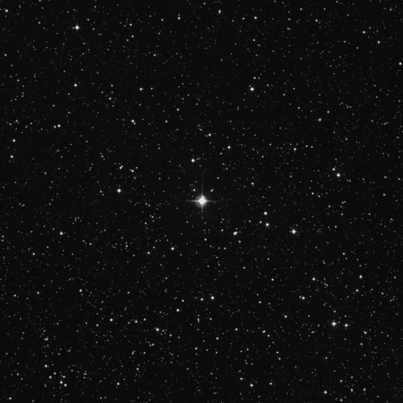 HR2208 - Star in Orion | TheSkyLive