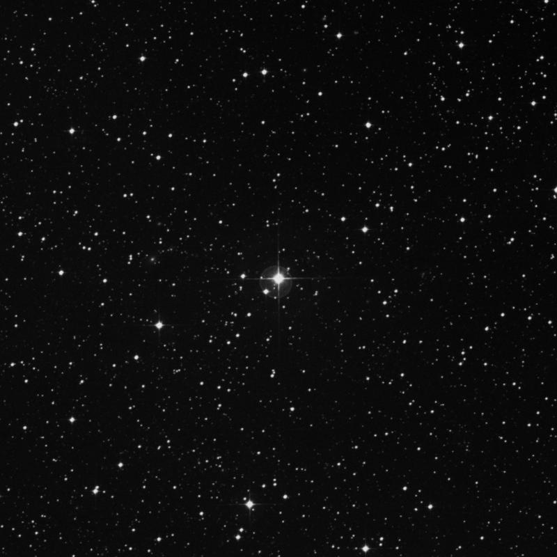 HR2213 - Star in Canis Major | TheSkyLive