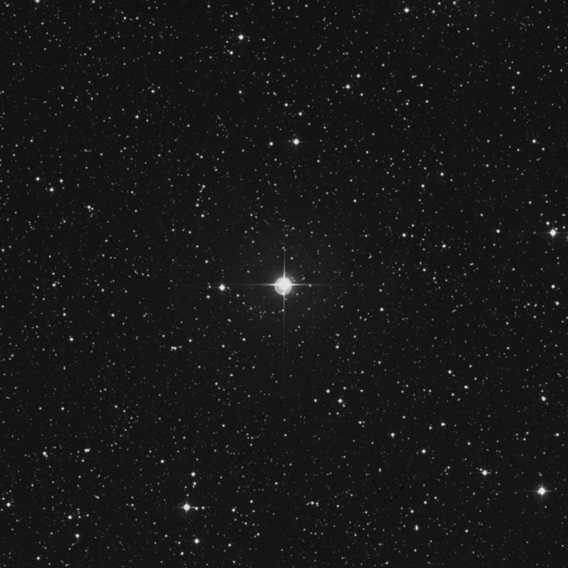 74 Orionis - Star in Orion | TheSkyLive