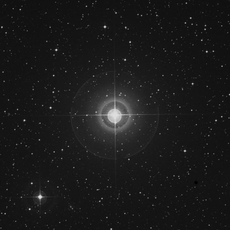 δ Columbae (delta Columbae) - Star in Columba | TheSkyLive