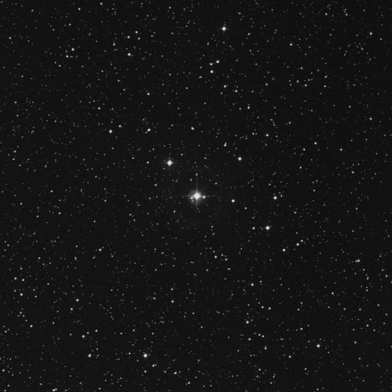 HR2339 - Star in Gemini | TheSkyLive