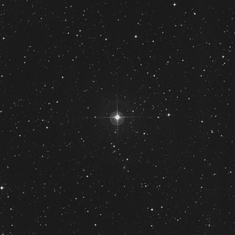 HR2348 - Star in Puppis | TheSkyLive