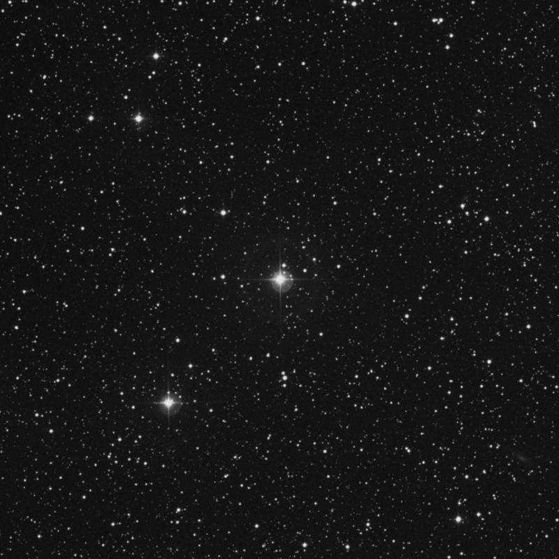 HR2366 - Star in Gemini | TheSkyLive