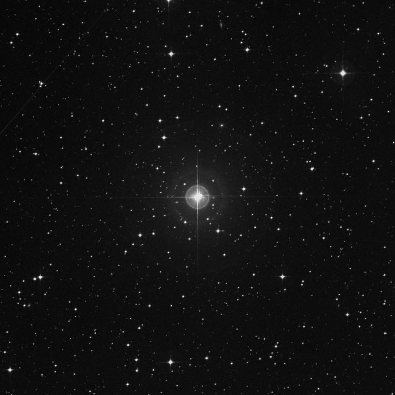 HR2384 - Star in Puppis | TheSkyLive