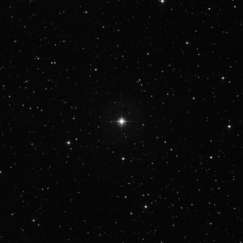 11 Lyncis - Star in Lynx | TheSkyLive