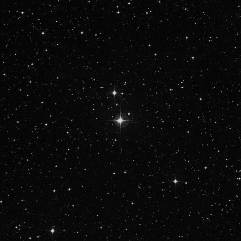 HR2475 - Star in Puppis | TheSkyLive