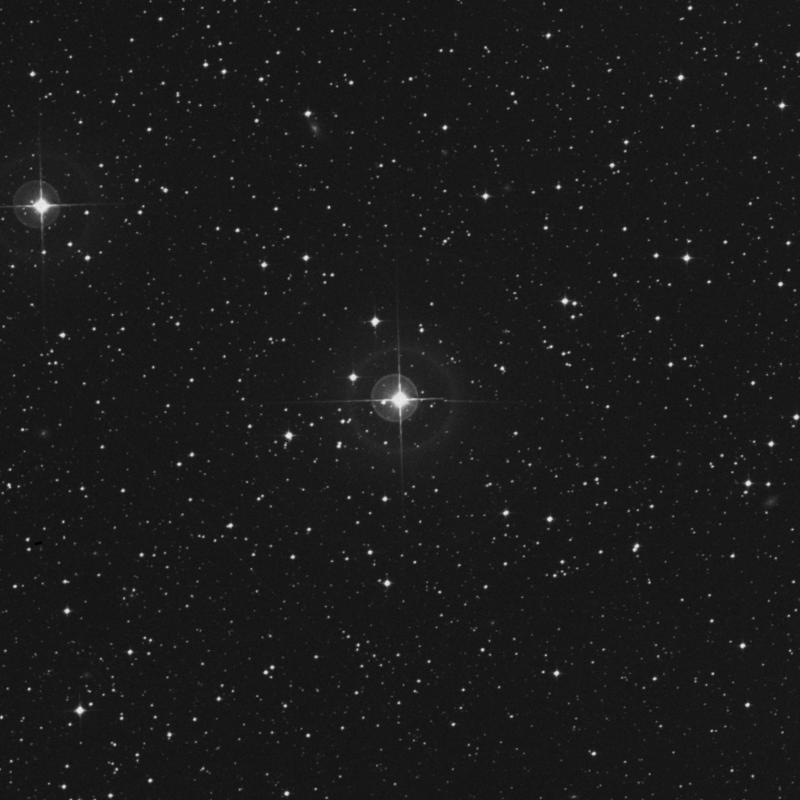 10 Canis Majoris - Star in Canis Major | TheSkyLive