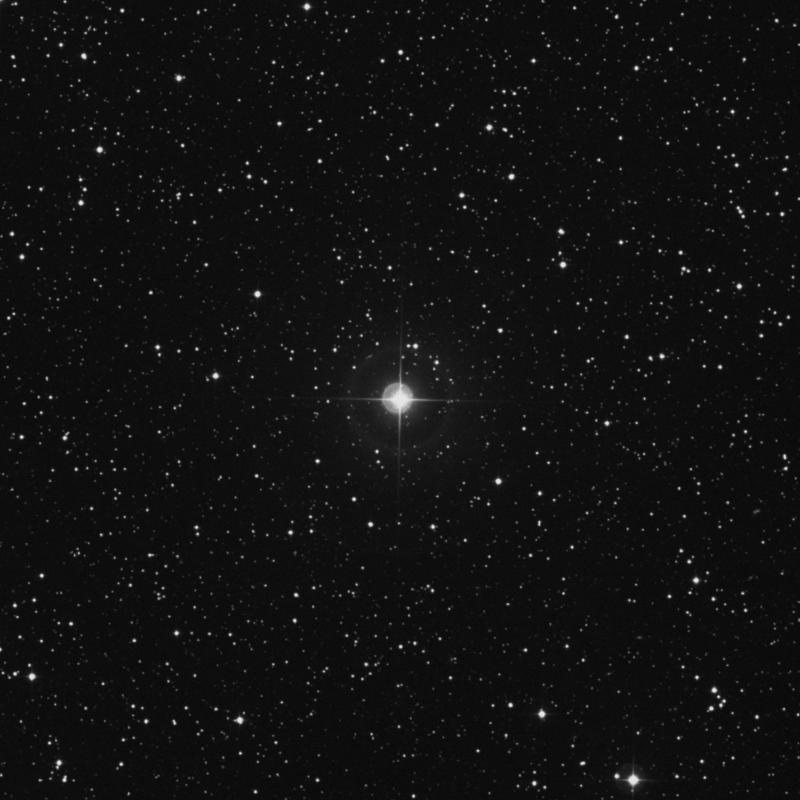 HR2533 - Star in Gemini | TheSkyLive