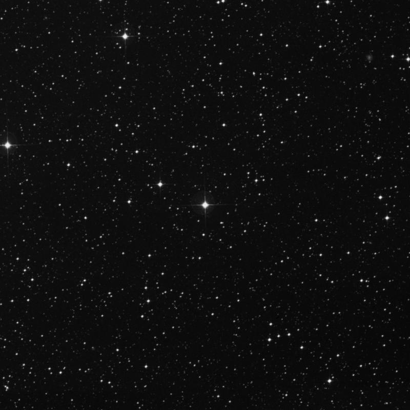HR2537 - Star in Canis Major | TheSkyLive