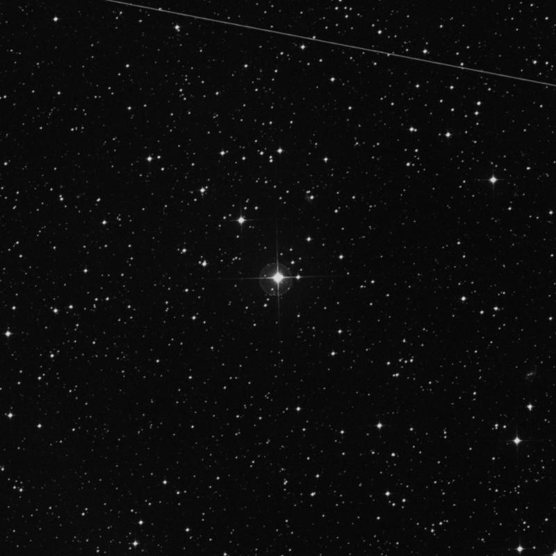 HR2579 - Star in Puppis | TheSkyLive