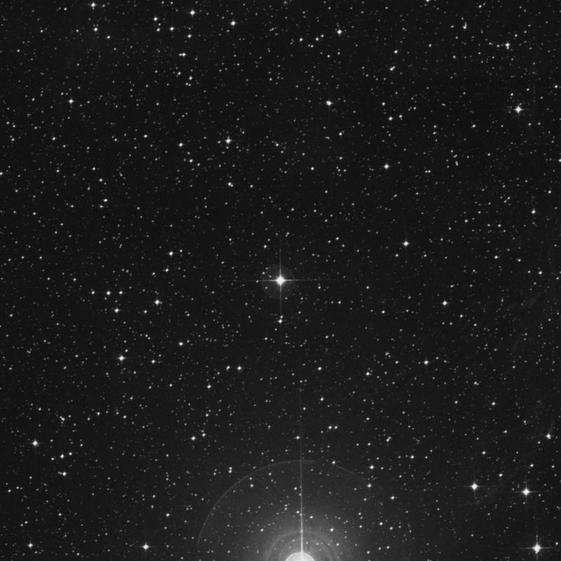 HR2583 - Star in Canis Major | TheSkyLive