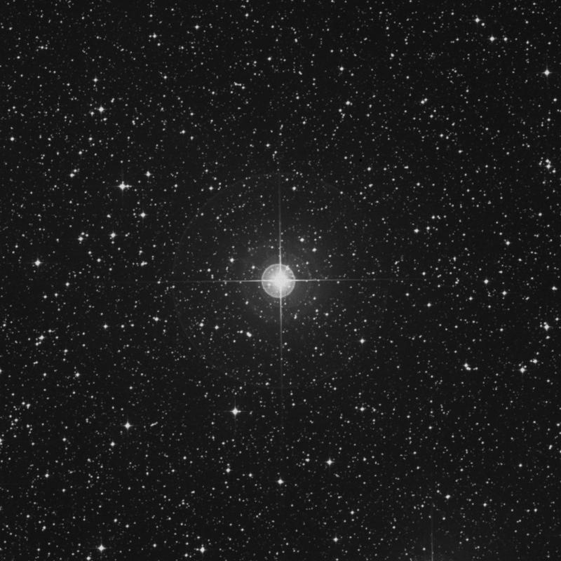 π Canis Majoris (pi Canis Majoris) - Star in Canis Major | TheSkyLive