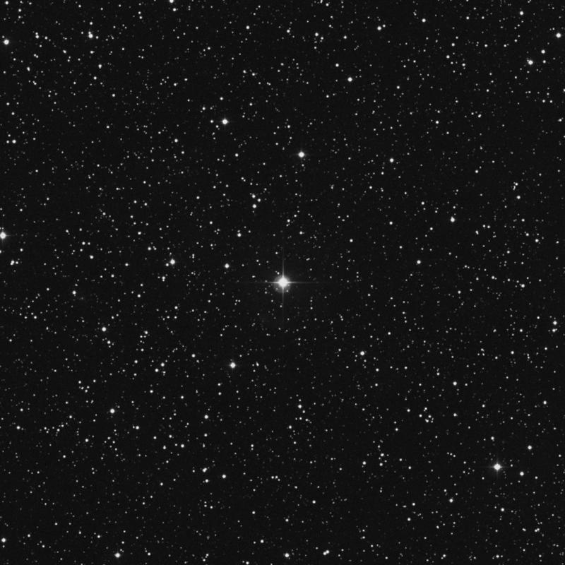 HR2597 - Star in Gemini | TheSkyLive