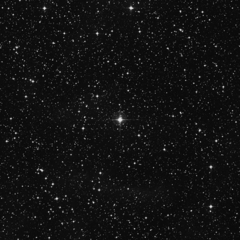 HR2603 - Star in Canis Major | TheSkyLive