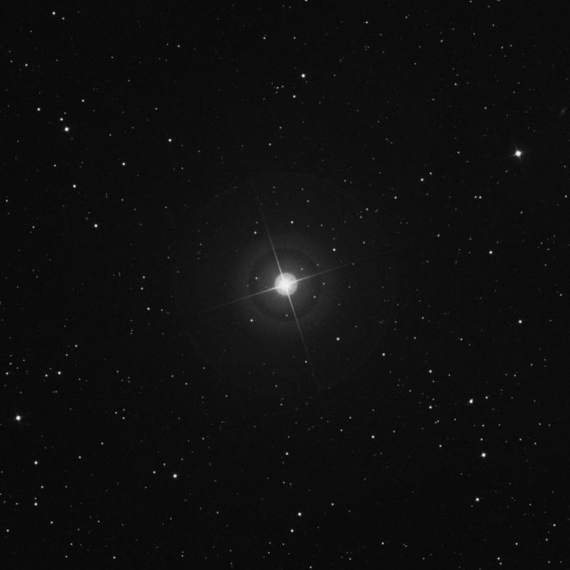 HR2609 - Star in Cepheus | TheSkyLive