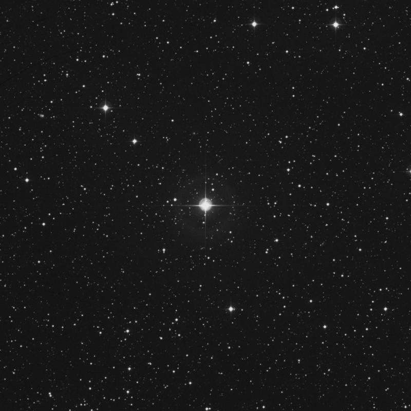 HR2631 - Star in Gemini | TheSkyLive
