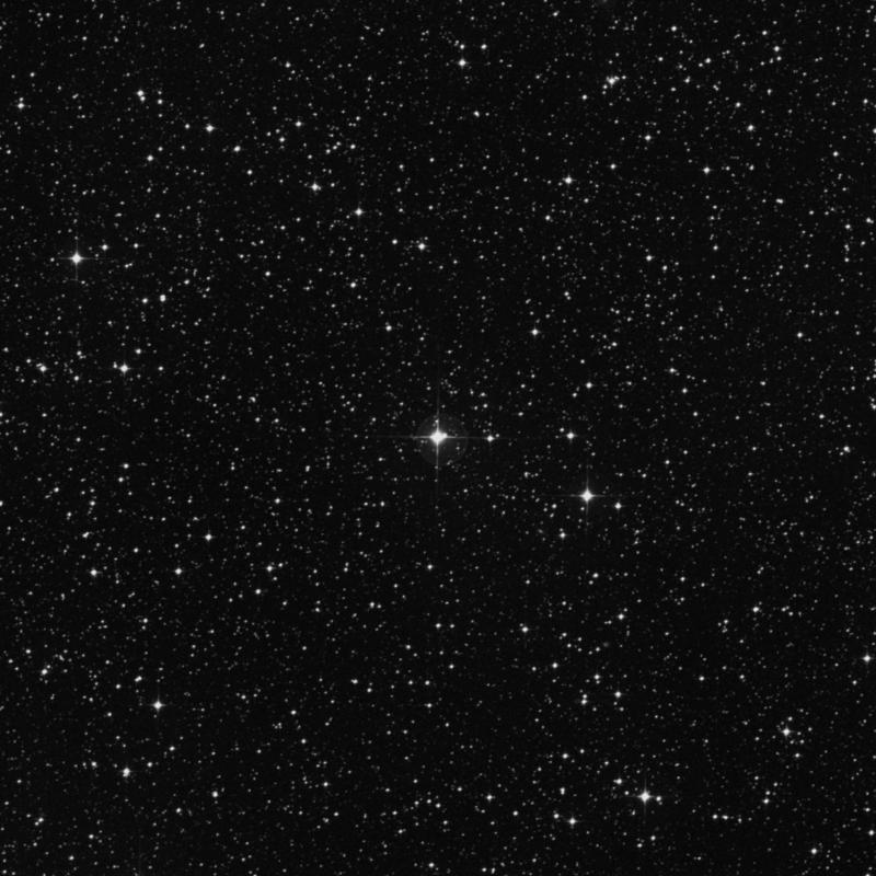 HR2695 - Star in Canis Major | TheSkyLive