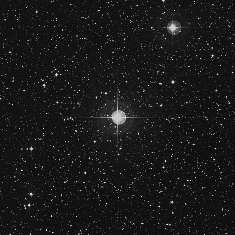 δ Monocerotis (delta Monocerotis) - Star in Monoceros | TheSkyLive