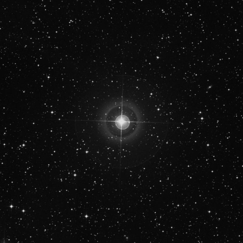 HR2719 - Star in Puppis | TheSkyLive