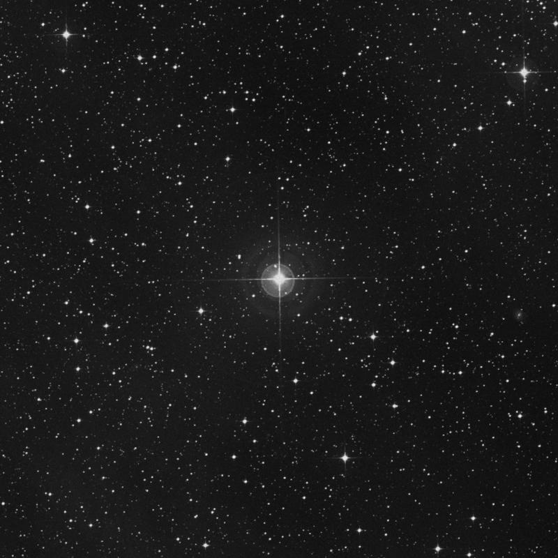 HR2791 - Star in Puppis | TheSkyLive